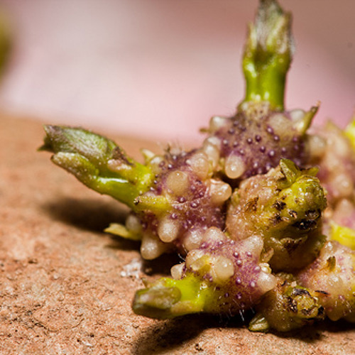 Stream Xzyt Now music | Listen to songs, albums, playlists for free on ...