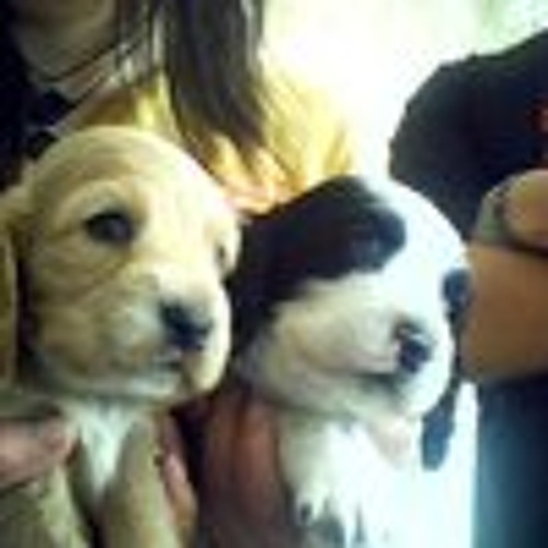 Stream Jose Bringas music | Listen to songs, albums, playlists for free ...