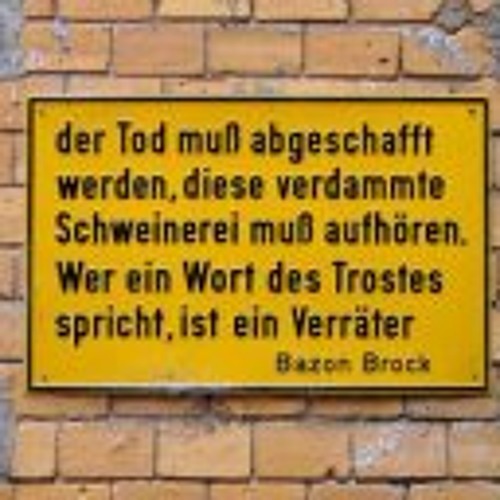 Stream Nils Bell music | Listen to songs, albums, playlists for free on ...