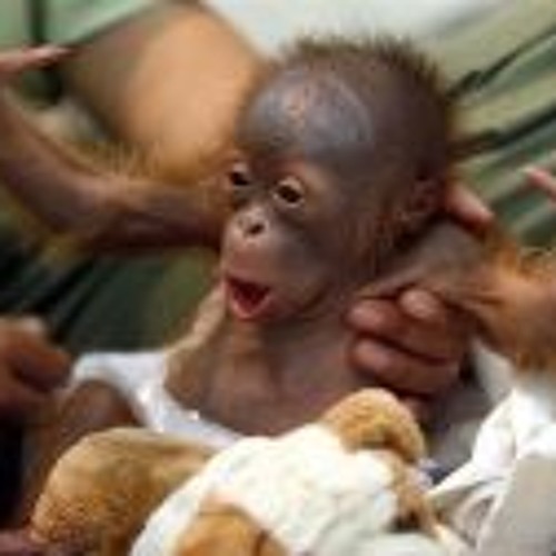 Stream Tony Varner music | Listen to songs, albums, playlists for free ...