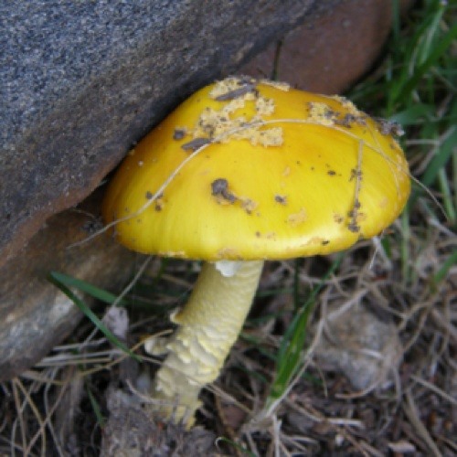 Stream Long Weekend Blues by graceland99 | Listen online for free on ...