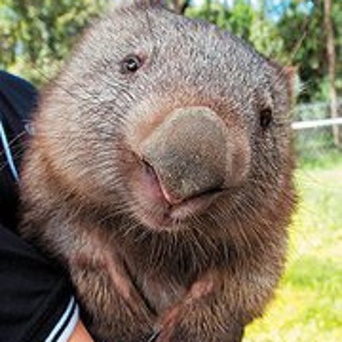 Stream Archit Joshi music | Listen to songs, albums, playlists for free ...