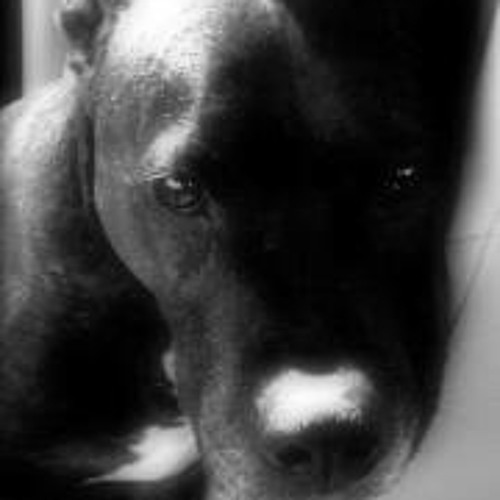 Stream Graham Cooper 2 music | Listen to songs, albums, playlists for ...