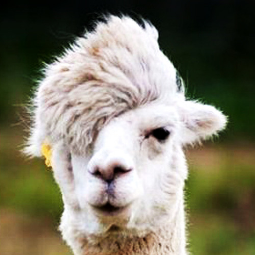 Stream skrat music | Listen to songs, albums, playlists for free on ...