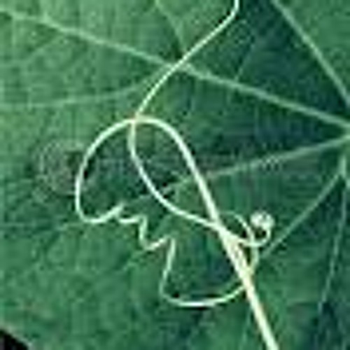 Stream Speech Misrecognition by hope and sound | Listen online for free ...