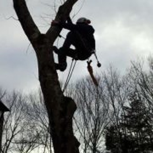 Stream Jake Slade music | Listen to songs, albums, playlists for free ...