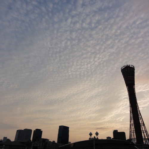 Stream shingo_HARADA music | Listen to songs, albums, playlists for ...