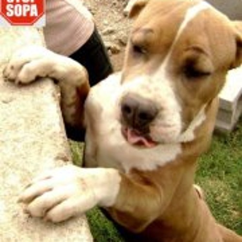 Stream Peter Engine music | Listen to songs, albums, playlists for free ...