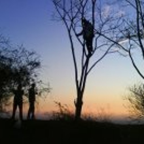 Stream Maye Ricardo Gonzalez music | Listen to songs, albums, playlists ...