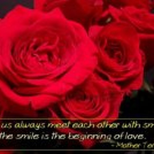 Stream Amina Barakat music | Listen to songs, albums, playlists for ...