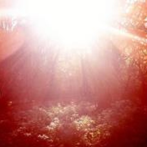 Stream Bridget Plant music | Listen to songs, albums, playlists for ...