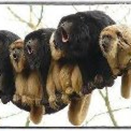 Stream atamata music | Listen to songs, albums, playlists for free on ...