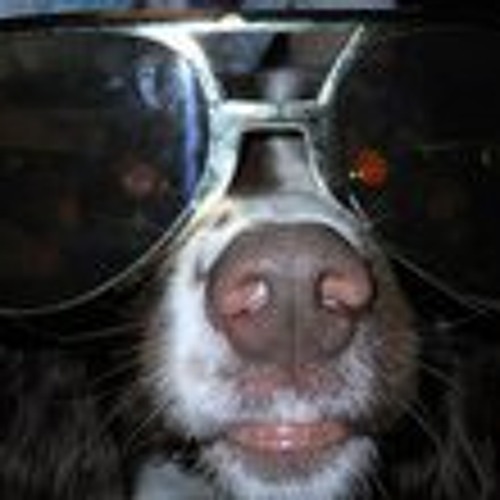 Stream Matthew Roger Sims music | Listen to songs, albums, playlists ...