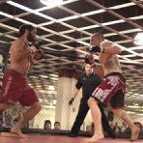 Stream Robin Mongeon music | Listen to songs, albums, playlists for ...