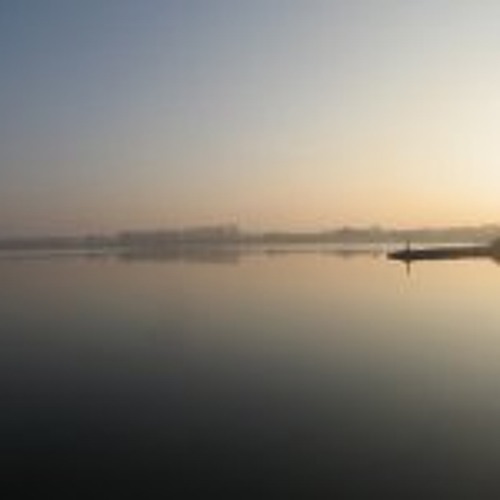 Stream erlisch music | Listen to songs, albums, playlists for free on ...