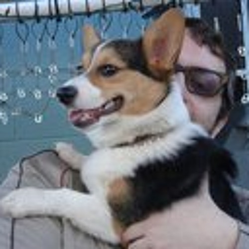 Stream Evan Mckay music | Listen to songs, albums, playlists for free ...