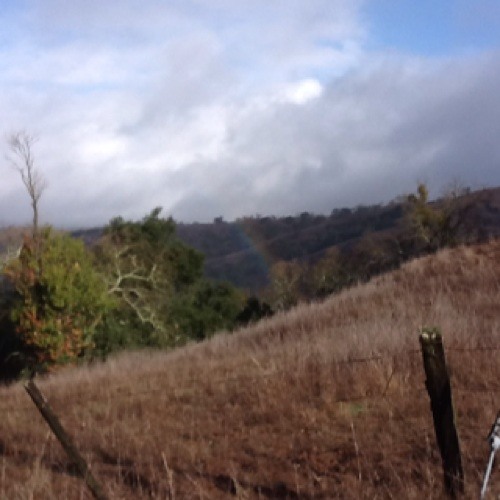 Stream JESUS YOU'RE THE LIGHT by lisadowler | Listen online for free on ...