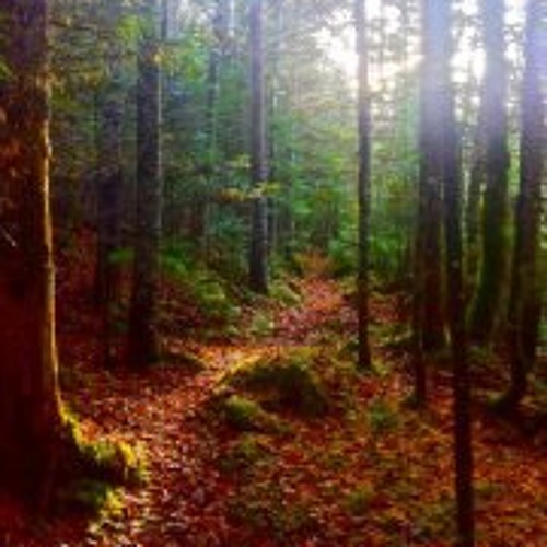 Stream Dave Fultz Red Door Realty / Jules Chamberlain advertisement ...