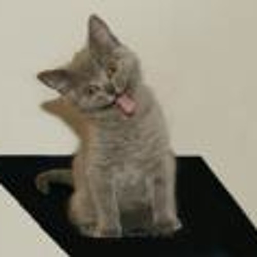 Stream Gerd Scheffel music | Listen to songs, albums, playlists for ...