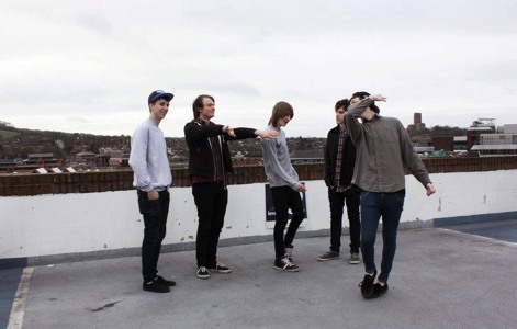 Elephantis - JungleKey.it Immagini