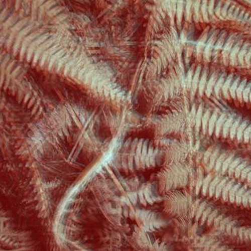 Stream Bryn White music | Listen to songs, albums, playlists for free ...