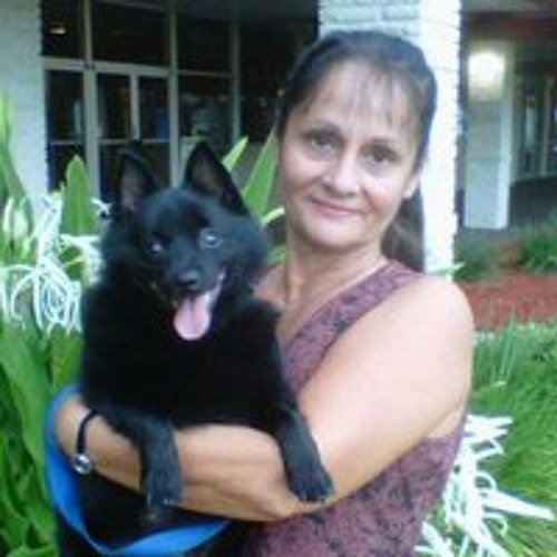 Stream Lisa Hecker music | Listen to songs, albums, playlists for free ...