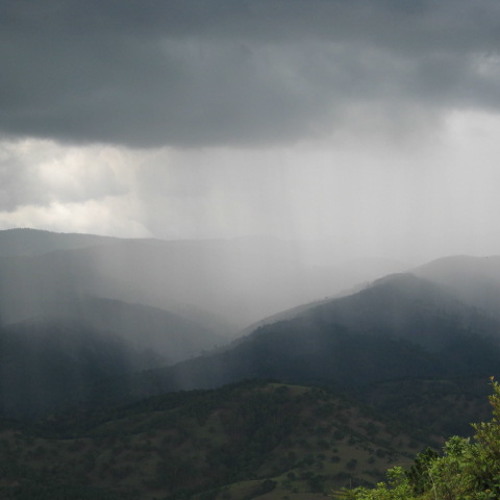 Stream Bruce Collet music | Listen to songs, albums, playlists for free ...