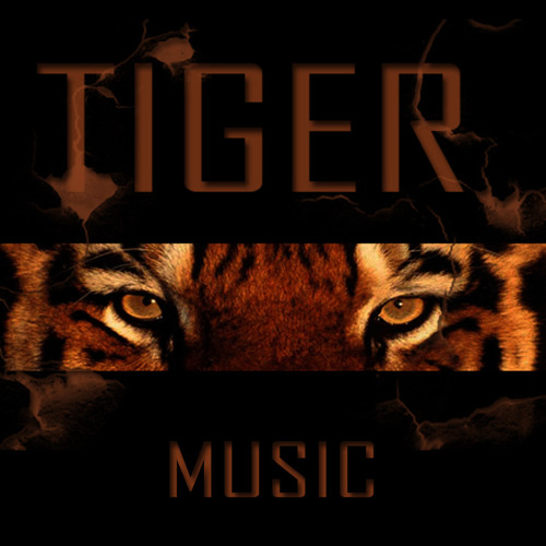 Stream Tiger-Music music | Listen to songs, albums, playlists for free ...