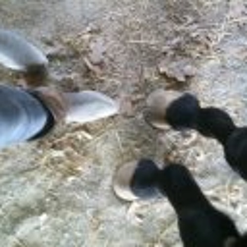 Stream Adrienne Sanders music | Listen to songs, albums, playlists for ...