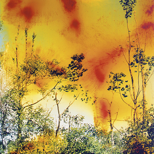 Stream Luke Warm (Official) music | Listen to songs, albums, playlists ...