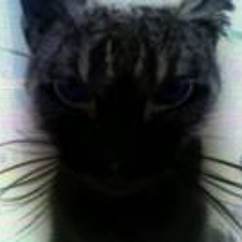 Stream Lisa Quintero-Renfro music | Listen to songs, albums, playlists ...