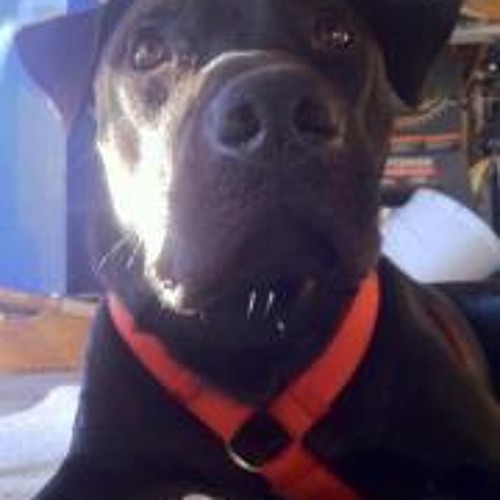 Stream Ian DeLisle music | Listen to songs, albums, playlists for free ...