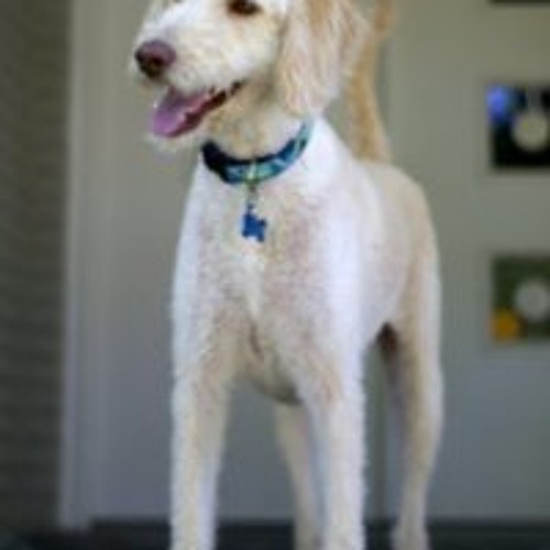 Stream Jeff Stoltz music | Listen to songs, albums, playlists for free ...