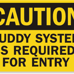 Buddy System Heavyweights