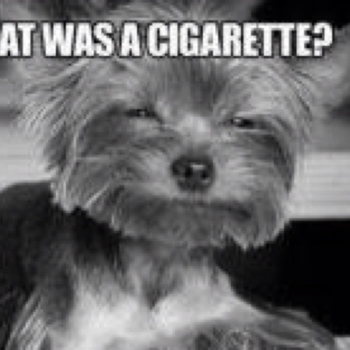 Stream steve.zatz music | Listen to songs, albums, playlists for free ...