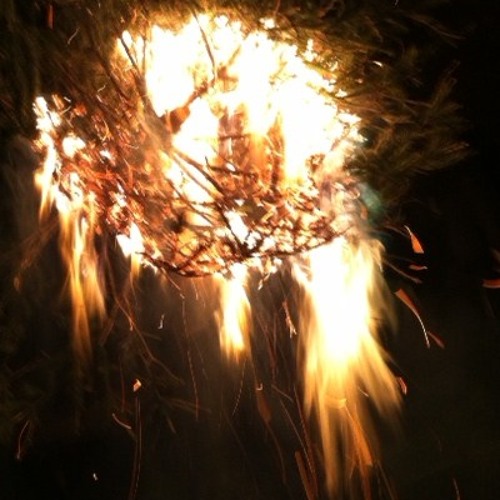 Stream Red Tigers music | Listen to songs, albums, playlists for free ...