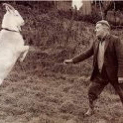 Stream Kevin Magill music | Listen to songs, albums, playlists for free ...