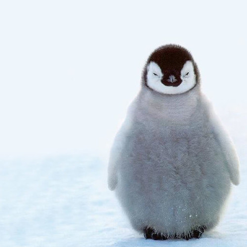 Stream Shayla Elliott music | Listen to songs, albums, playlists for ...