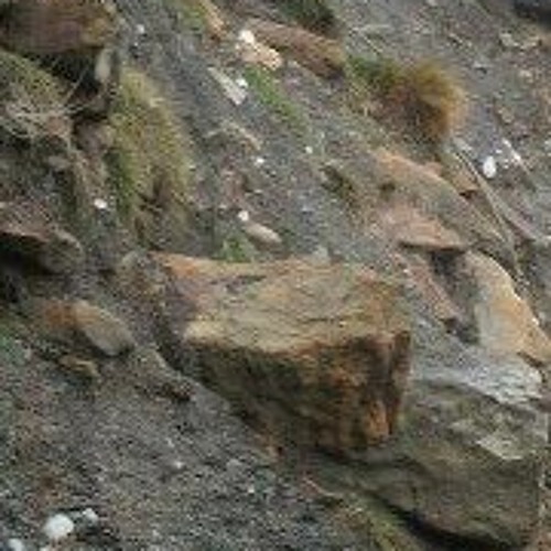 Stream Will Monald Rutter music | Listen to songs, albums, playlists ...