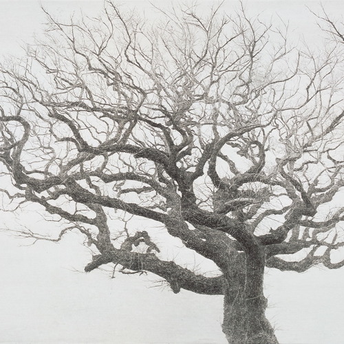 Stream Astrid Romo music | Listen to songs, albums, playlists for free ...