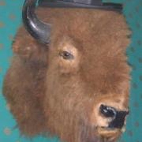 Stream Jay Kline music | Listen to songs, albums, playlists for free on ...