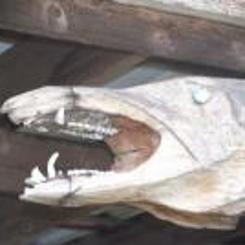 Stream Eric Hjerstedt Sharp | Listen to Italian Hall playlist online for free on SoundCloud