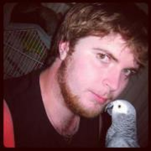 Stream Gavin Vickers music | Listen to songs, albums, playlists for ...