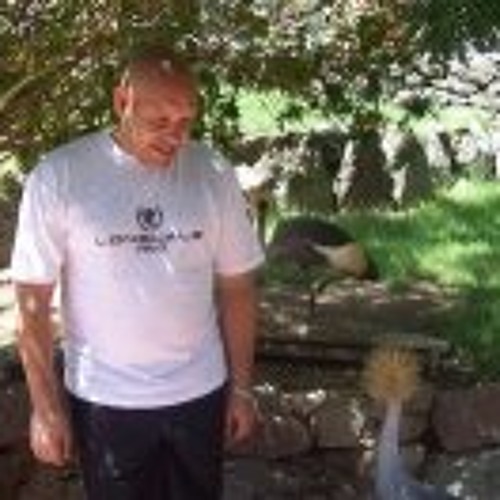 Stream Ian Rimmer music | Listen to songs, albums, playlists for free ...