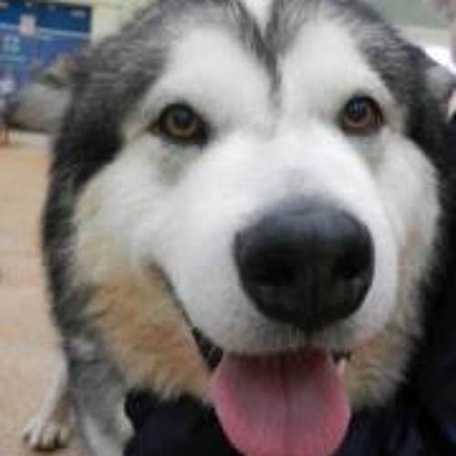 Stream Amy Porter 3 music | Listen to songs, albums, playlists for free ...