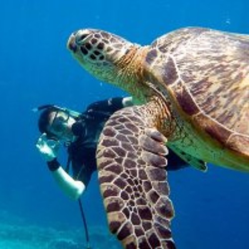 Stream Nathan Stroud music | Listen to songs, albums, playlists for ...