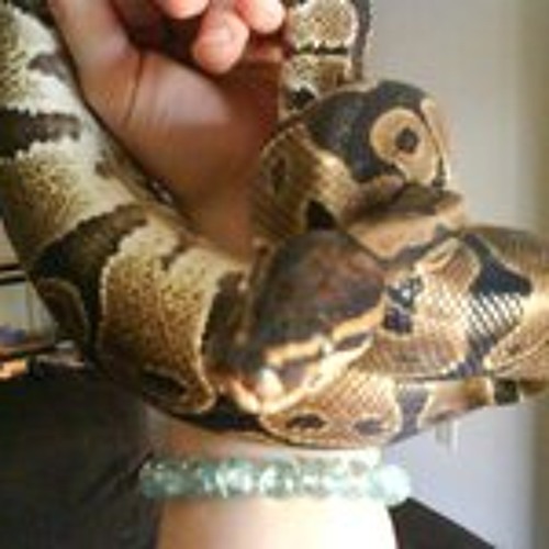 Stream Amy McCurdy music | Listen to songs, albums, playlists for free ...