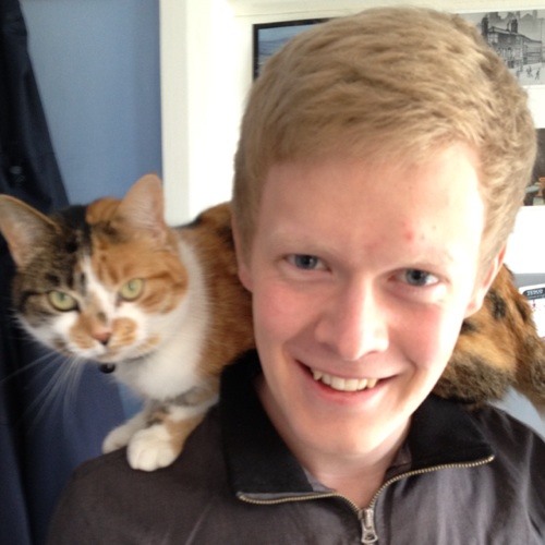 Stream timjswan music | Listen to songs, albums, playlists for free on ...