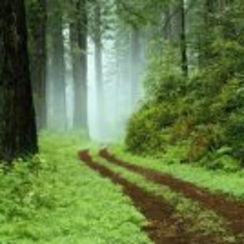 Stream Dana Pendleton music | Listen to songs, albums, playlists for ...