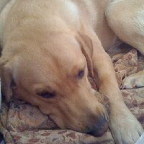 Stream Aimee Knowles 1 music | Listen to songs, albums, playlists for ...